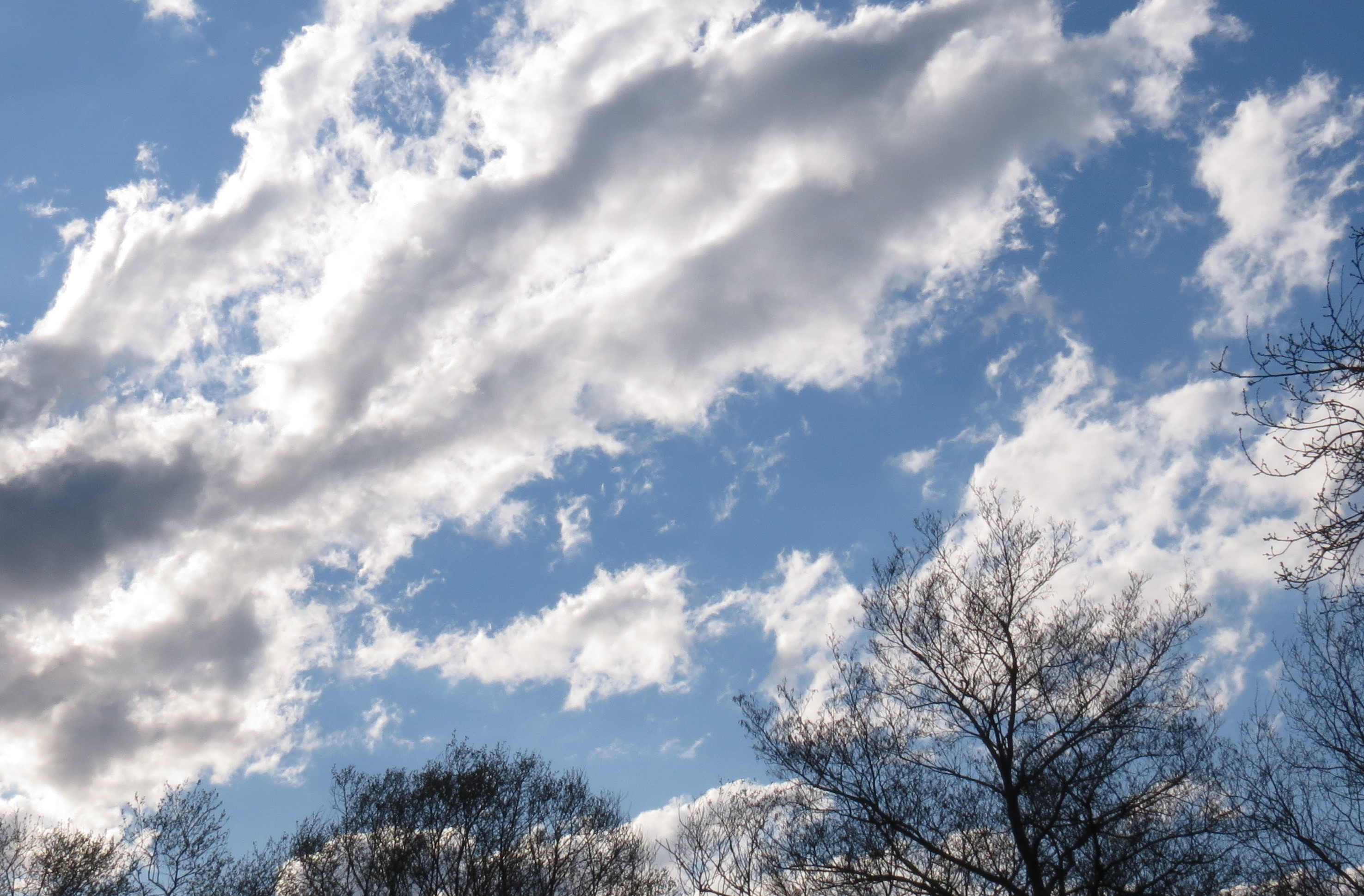 poluição atmosférica - idad - Universidade de Aveiro