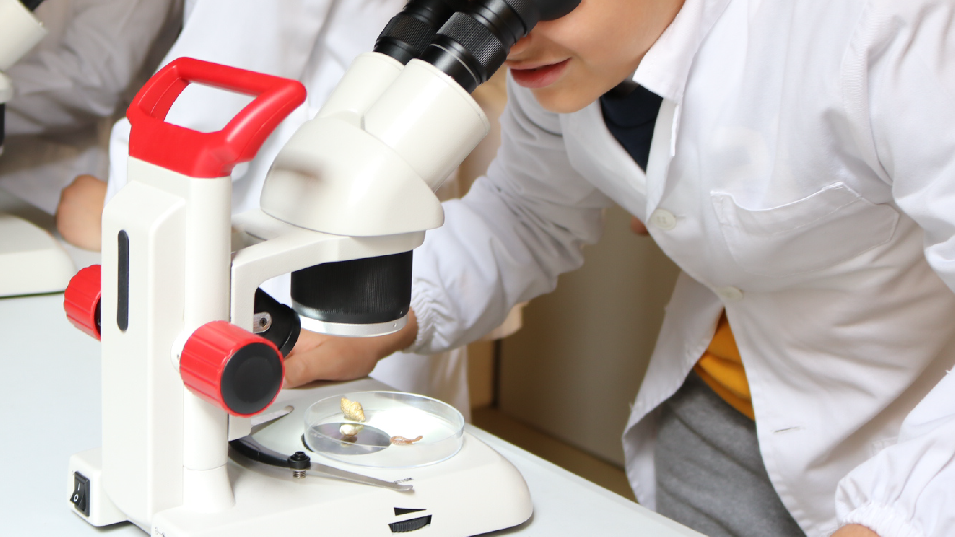 Laboratório - fabrica - Universidade de Aveiro