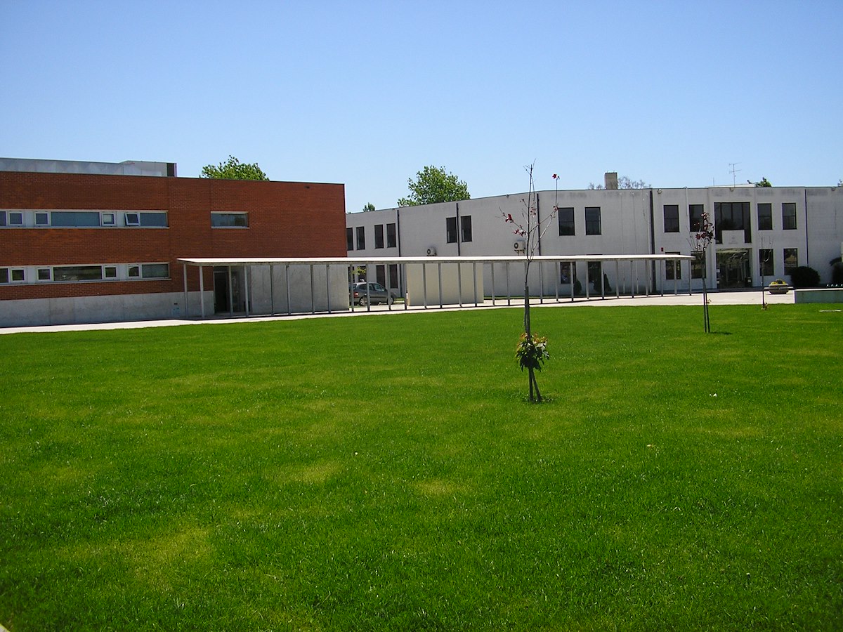 Instituto Superior de Contabilidade e Administração de Aveiro - isca ...