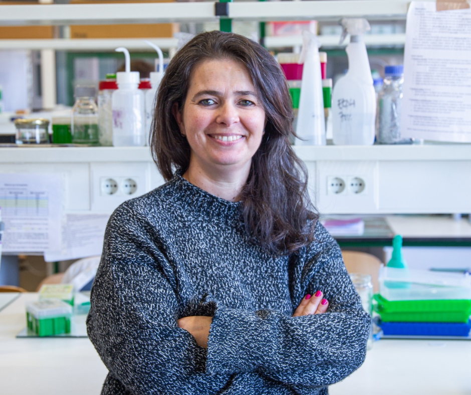 Entrevista Ana Cristina Esteves - inovacaopedagogica - Universidade de ...