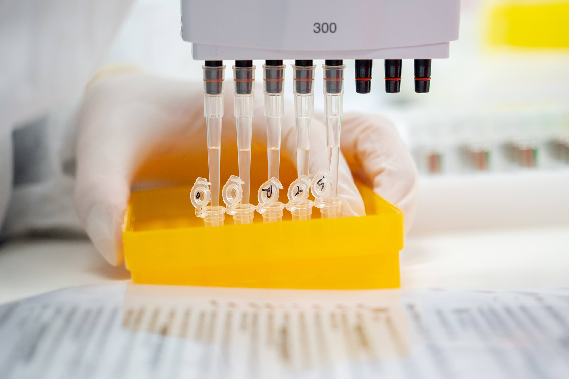 Centro Académico Clínico Egas Moniz Health Alliance (EMHA) - Universidade de Aveiro