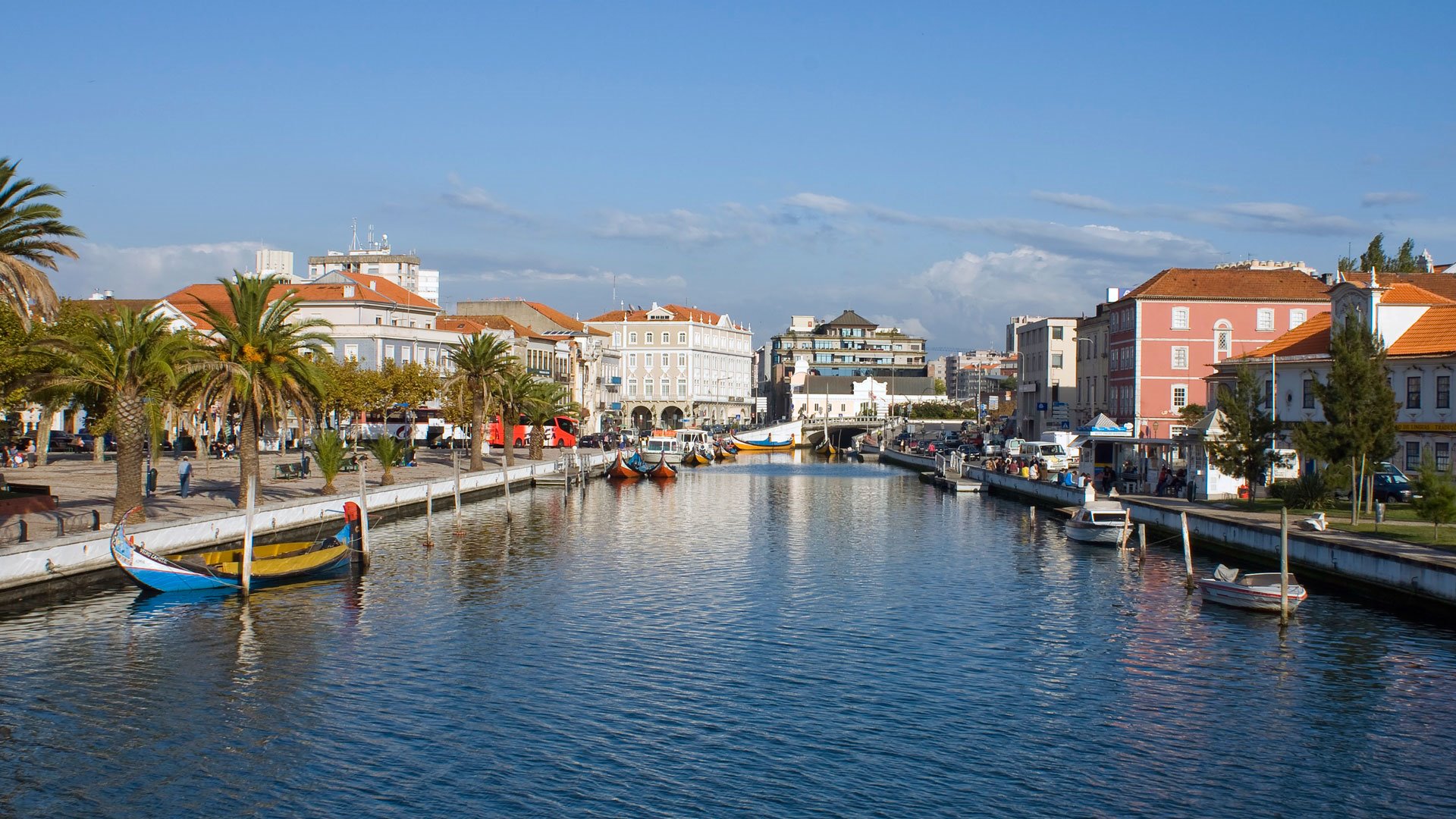 Universidade de Aveiro - Universidade de Aveiro